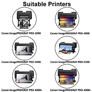 Primer Ink PFI-1700 Compatible Ink Cartridge Replacement for Canon PFI-1700 for imagePROGRAF Pro2000,2100 Pro 4000s,4100,6000s,6100,6100S,4100S Printers (700ML Photo Black Pigment)