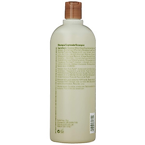 Aveda Shampoo Bottles, rosemary mint 33.8 Fl Oz