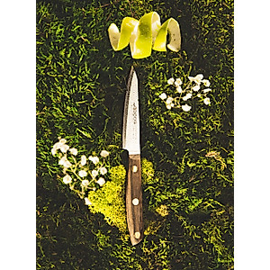 ARCOS Paring Knife 4 Inch Stainless Steel. Professional Kitchen Knife for Peeling Fruits and Vegetables. Ovengkol Wood Handle 100% natural FSC and 100mm Blade. Series Nordika. Color Brown