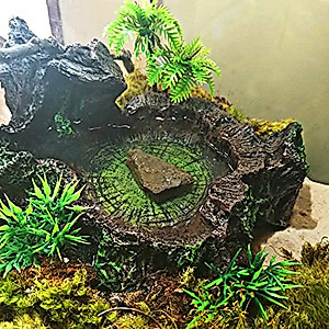 DOHAOOE Reptile Tank Accessories Habitat Water Dish Tree Trunk and Artificial Arched Rock Bridge for Bearded Dragon Leopard Gecko Lizard Snake Chameleon Hermit Crab Ball Python Water Frog Turtle