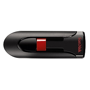 SanDisk Cruzer Glide 64GB (2 Pack) USB 2.0 Flash Drive Jump Drive Pen Drive CZ60 - Bundle with (1) Everything But Stromboli Lanyard