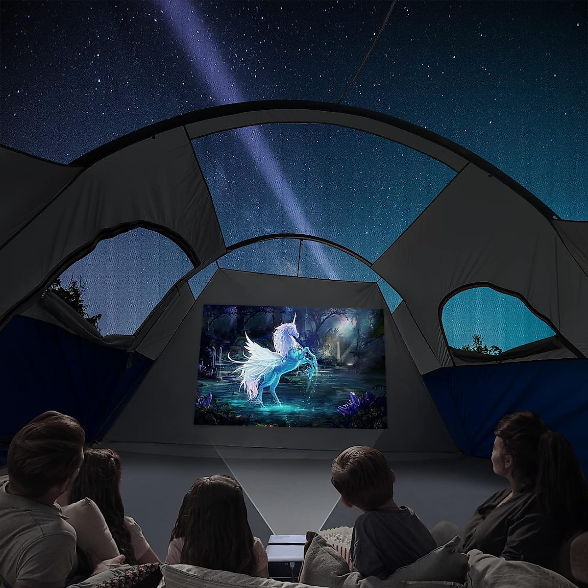 HIKERGARDEN 10 Person Camping Tent - Portable Large Family Tent for Camp, Windproof Fabric Dome Tent Outdoor for Hiking, Backpacking, Traveling (Blue)