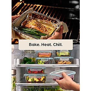 Praknu Meal Prep Storage Container - Pack of 4 - BPA Free - Leak Proof - Dishwasher Safe - Glass Storage Containers with Lids (50oz, 34oz, 17oz, 10oz)