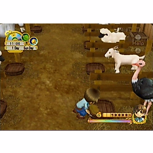 Harvest Moon: Tree of Tranquility - Nintendo Wii