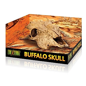 Exo Terra Terrarium Decor Buffalo Skull