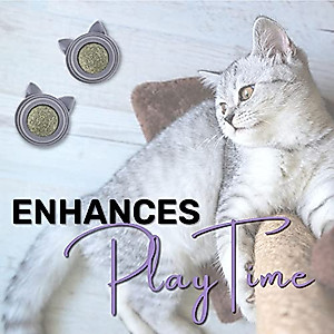 XanderPets Catnip Balls That Stick On Wall - Cat Nips Organic - Magic Cat Balls - Interactive Toys for Indoor Cats - Essential Cat Accessories - USA 3 Pack (Tabby Grey)