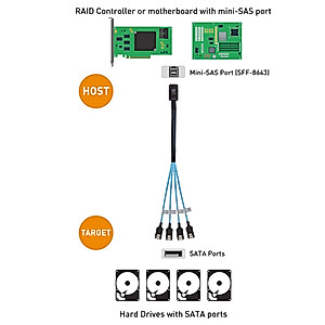 Cable Matters Internal Mini SAS HD to SATA Cable 3.3 Feet, 1m (SFF-8643 to SATA Forward Breakout)