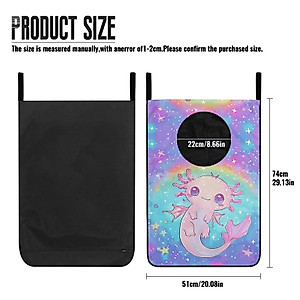 ZOUTAIRONG Rainbow Axolotl Hanging Laundry Bag Basketball Over The Door Laundry Hamper Zipper Laundry Basket Girls Purple Storage Organizers for Bedroom/Bathroom/Dorm/Closet