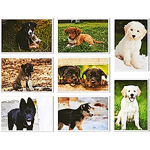 40 Pack Puppy Dog Postcards Bulk Set - All Occasion Assorted Blank Post Cards Greeting Bulk Box Set - 4 x 6 Inches