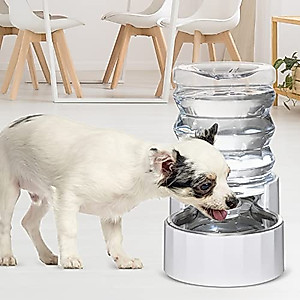 RIZZARI Automatic Pet Waterer, 100% BPA-Free, 4.6L Gravity Stainless Steel Water Dispenser, Large Capacity Water Feeder for Cats and Small and Medium-Sized Dogs (White,Small)