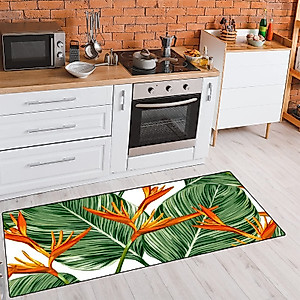 TsyTma Bird's Paradise Flower Kitchen Rug Tropical Flower Floor Mats Washable Non-Slip Bathroom Rug Runner Laundry Room Home Holiday Decor 39x20 Inch