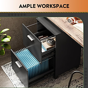 DEVAISE 2 Drawer File Cabinet, Mobile Printer Stand, Wood Filing Cabinet fits A4 or Letter Size for Home Office, Black