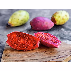 Yunaksea 3 Spineless Prickly Pear Cactus Pads for Planting Indoor, 4 Inc to 5 Inc Tall, Succulents Plants Live