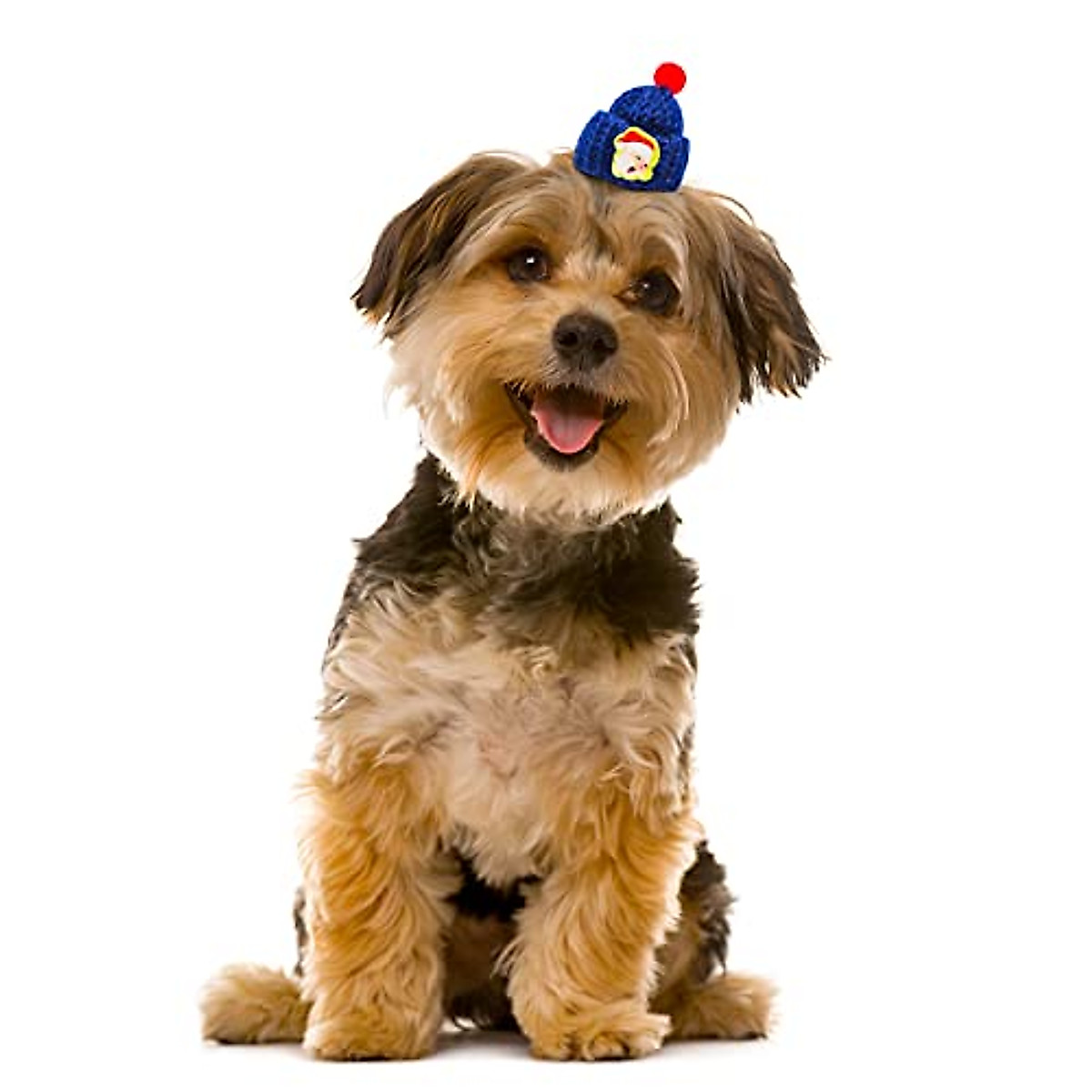 20pcs Christmas Pet Head Flower, Christmas Festive Head Flower with Cartoon Patch for Small and Medium Pet Hair Grooming (Hat)