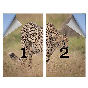 Window Film Privacy Window Film Frosted Glass Film No Glue Static Cling Glass Film Window Sticker for Bathroom Bedroom Living Room Leopard Cheetahs Mountain Scenery 27.6Wx39.4L-inch x2 Pcs