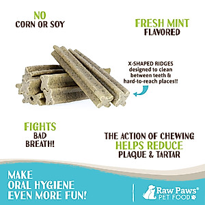 Raw Paws Dental Chews for Dogs, Medium Size, Mint Flavor, 26-oz. 29 Ct. - Made in USA - Freshen Breath & Fight Plaque & Tartar - Dog Teeth Cleaning Treat - Dog Breath Treats - Dental Sticks for Dogs