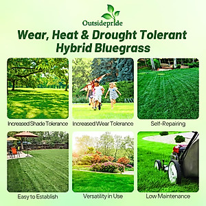 Outsidepride SPF-30 Hybrid Bluegrass Seeds - 5 lbs. Heat & Drought Tolerant, Texas Bluegrass & Kentucky Bluegrass Seed Mix for Challenging Climates, OptiGrowth Coated for Better Establishment