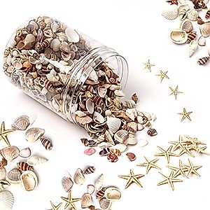 HAPY SHOP 1200 PCS Tiny Sea Shells Small Natural Starfish Mixed Ocean Beach Spiral Seashells for Home Decorations,Wedding Decor,Candle Making,Beach Theme Party,DIY Crafts and Vase Filler