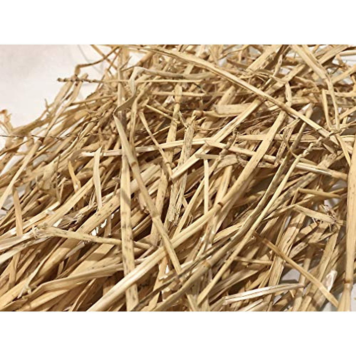 AA Plus Shop 100% Natural Wheat Straw Grass, Animal Bedding and Farm Wheat Straw (4LB)