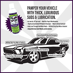 Detail Juice Garry Dean's ONE System Universal Shampoo Highly Concentrated PH Neutral Shampoo Automotive Detailing Supplies (128 fl oz)