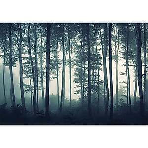 wall26 - Landscape Mural of a Misty Forest - Wall Mural, Removable Sticker, Home Decor - 100x144 inches