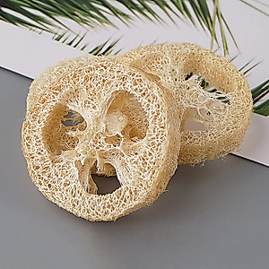 FRTIM Natural Loofah Slices for Soap Making, 20 Pieces Organic Luffa Cuts for DIY Exfoliating Soaps, Homemade Handmade Loofa Soap Supplies