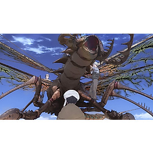 CAGASTER OF AN INSECT CAGE