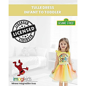 Sesame Street Bert and Ernie Big Bird Cookie Monster Infant Baby Girls Tulle Dress Yellow 12 Months