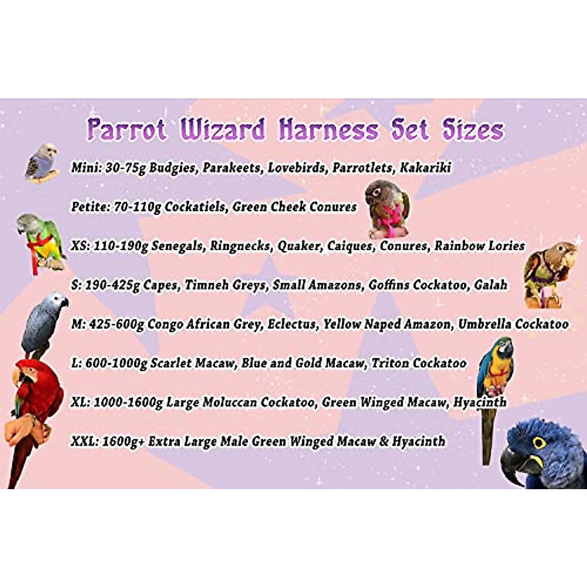 Parrot Wizard Bird Harness Set (XL, Pink)