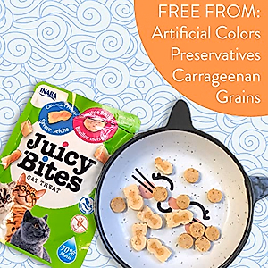 INABA Juicy Bites Grain-Free, Soft, Moist, Chewy Cat Treats with Vitamin E and Green Tea Extract, 0.4 Ounces per Pouch, 18 Pouches (3 per Bag), Tuna and Chicken