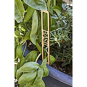 Prospero Living Garden Stakes - Premium 7 Inch Wooden Herb and Vegetable Garden Plant Labels – for Indoor and Outdoor Planters, Pots and Boxes – 25 Commonly Grown Herbs, Veggies, and Fruits.