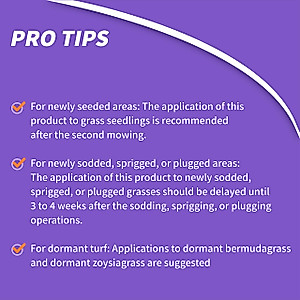 Bonide 311 916085 Qt Rts Ultra Weed Beater, 32 Fl Oz