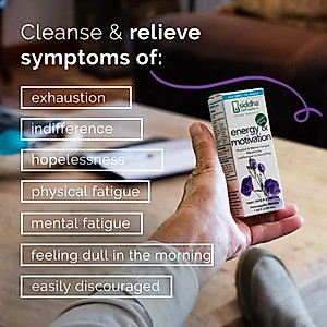 Siddha Remedies Energy & Motivation Spray | 100% Natural Homeopathic Remedy with Traditional Homeopathic Ingredients, Cell Salts and Flower Essences | No Alcohol No Sugar