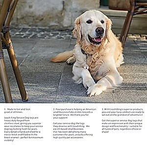 Leash King 1.25" Double-Sided ESA Dog Tag with 1.3" Solid Quick Clip– Easily Attach to Collar, Harness, Vest – Entirely Surgical Stainless Steel – PVD Gold