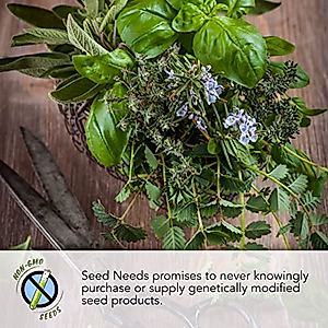 Seed Needs, White/Blue Borage Seed Packet Collection (2 Individual Borage Varieties for Planting) Heirloom, Non-GMO & Untreated