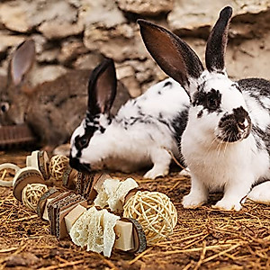 Bunny Chew Toys for Rabbits, Hanging Rabbit Toys, Wooden Bunny Natural Chew and Treat Toys Improve Dental Health for Rabbits, Hamsters, Guinea Pigs Chinchillas, Birds, and Other Small Pets