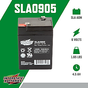 Interstate Batteries 6V 4.5Ah Battery (F1 Terminal) SLA AGM VRLA Rechargeable Replacement for Blood Pressure Monitors, Oxygen & Pulse Meters, Deer Feeders, Medical Devices (SLA0905)