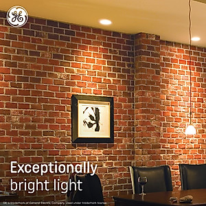 GE Ultra Bright LED Light Bulbs, 100 Watt Equivalent, Daylight, Ceiling Fan Clear A15 Bulbs (8 Pack)