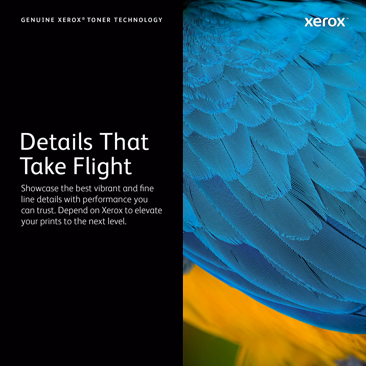 Xerox Phaser 3330/Workcentre 3335/3345 Black Extra High Capacity Toner-Cartridge (15,000 Pages) - 106R03624