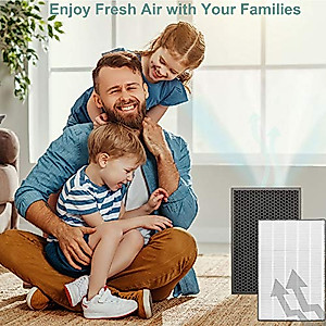 FFsign 2678 Replacement High Efficiency HEPA Filter + 2677 Actived Carbon Filter for Bissell Air220 Air320, 1 True HEPA Pre-Filter & 1 Carbon Filter
