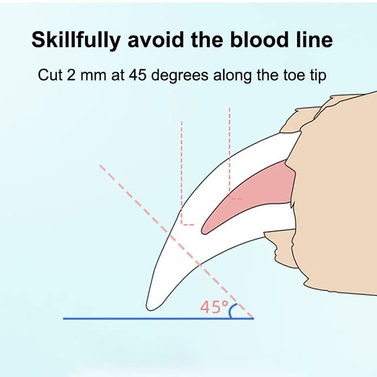 Pets Nail Clippers Cat Claw Clipper - Cat Nail Trimmers Suits All Small Animals Such as Dogs, Cats, Puppies, Kittens, Birds, Hedgehogs, Ferrets, Rabbits, Hamsters