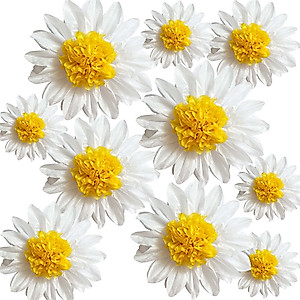 ANSOMO Daisy Tissue Paper Pom Poms Party Decorations White Yellow Flowers Wall Hanging 1st Birthday Bridal Baby Shower Wedding Classroom Décor 12" 8" Pack of 10