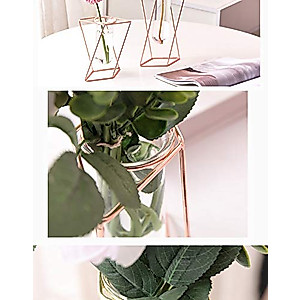 Aoderun Glass Flower Vase with Metal Stand Modern Geometry Desktop Glass Planter Indoor Hydroponics Plants for Home Office Garden Wedding Decor (Gold, M)