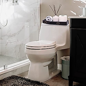 Stand & Delivered Gothic Coffin Tray, Spooky Decorative Wooden Goth Home Decor Tray for Holding Crystals, Jewelry, Candles, Creepy Serving Tray for Kitchen, Bathroom, Bedroom and Entryway, Black