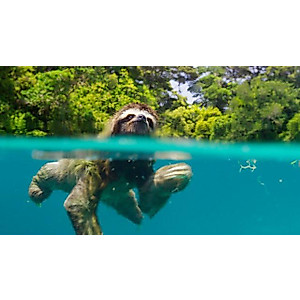 Planet Earth II (4K Ultra HD) [4K UHD]