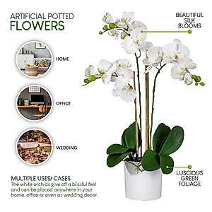 Serene Spaces Living 3 White Realistic Phalaenopsis Orchids in Pot, Artificial Potted Flowers - Beautiful Entryway Vase, Foyer Table Décor, Measures 26" Tall & 5" Diameter