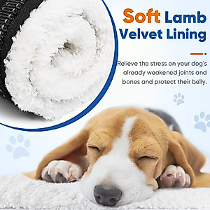 Petbobi Dog Sling for Large Dogs Hind Leg Support, Dog Hip Harness Support to Help Lift The Rear Legs for Older Dogs and Dogs with Limited Mobility, Suitable for Extra Large Unisex Dogs Black