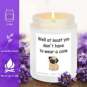 Lavender Scented Soy Candles - Get Well Soon Gifts for Women or Men - Funny Cute After Surgery Cancer Recovery Feel Better Gifts for Friend, Mom, Daughter, Sister Wife, Girlfriend, Her, Him