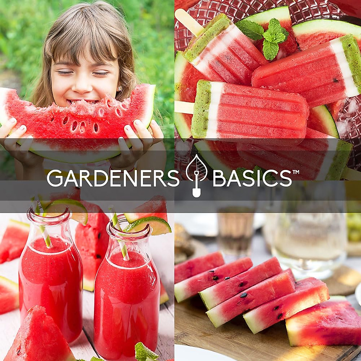 Watermelon Fruit Seeds for Planting Home Garden 5 Variety Packets - Crimson Sweet, Jubilee Improved, Tendersweet Orange, Charleston Grey, and All Sweet Watermelon Seed Packs by Gardeners Basics