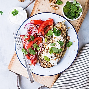 Dicunoy Pack of 5 Enamel Plates, 9.5" Unbreakable Enamelware Dinner Serving Platter Trays, Retro White Round Shallow Bowls with Blue Rim for Pasta, Salad, Camping, Outdoor, Picnic, BBQ